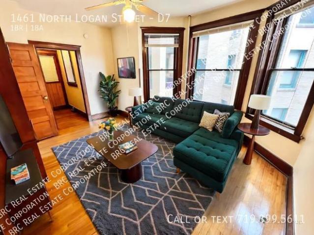 1 Br, 1 bath, Condo 1461 North Logan Street