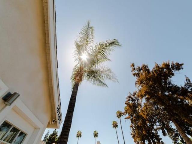 1 Br, 1 bath, Condo 14836 Archwood Street