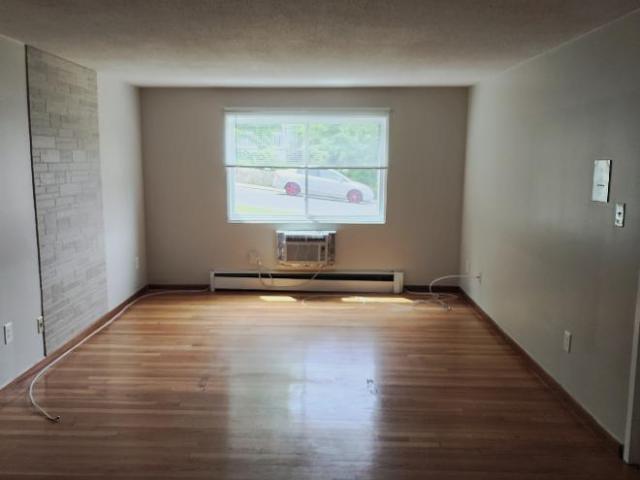 1 Br, 1 bath, Condo 14 Mt Pleasant St