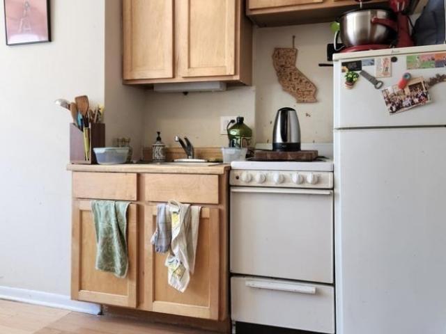 1 Br, 1 bath, Condo 1504 N Dearborn Pkwy