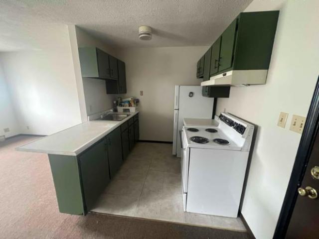 1 Br, 1 bath, Condo 151 Plum Street