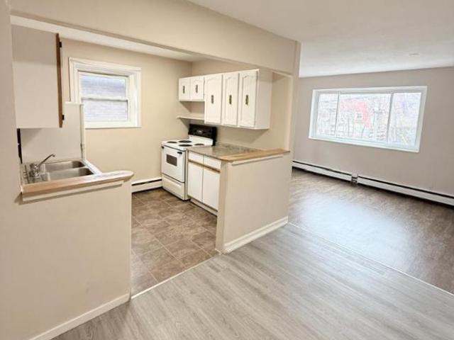 1 Br, 1 bath, Condo 1590 Ouellette Ave