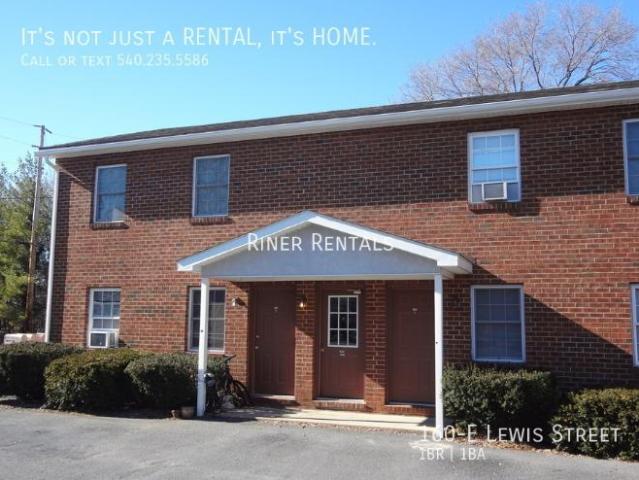 1 Br, 1 bath, Condo 160 E Lewis Street