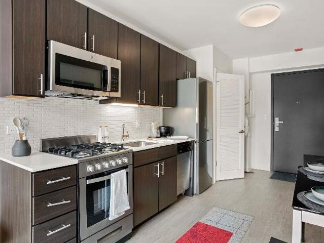 1 Br, 1 bath, Condo 167 W Superior