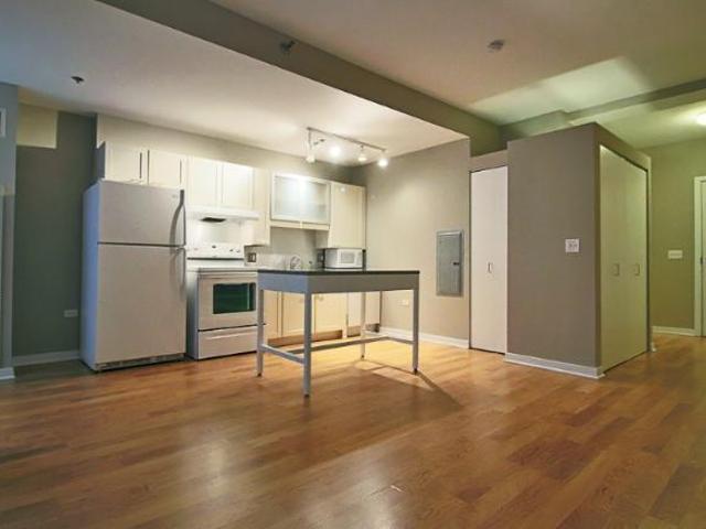 1 Br, 1 bath, Condo 168 W Randolph