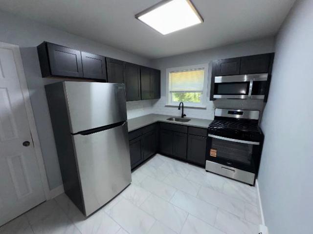 1 Br, 1 bath, Condo 175 South St