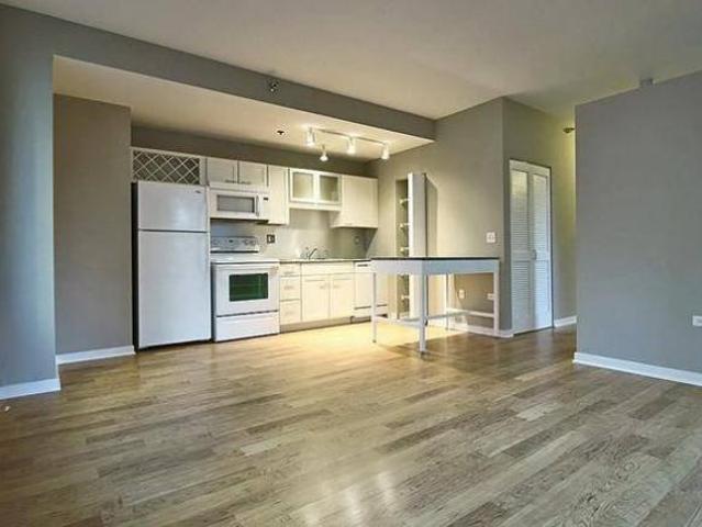 1 Br, 1 bath, Condo 186 W Randolph St