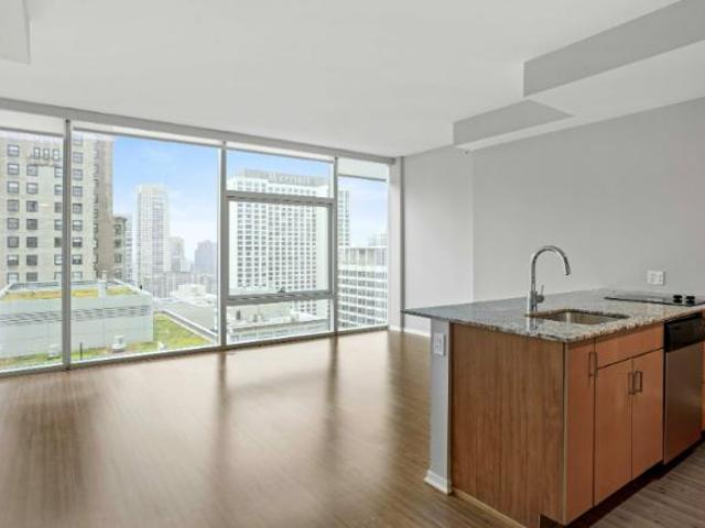 1 Br, 1 bath, Condo 197 E Illinois
