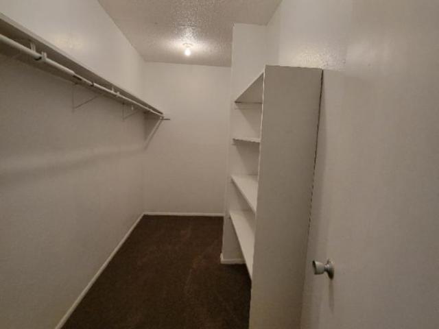 1 Br, 1 bath, Condo 203 Sprucewood