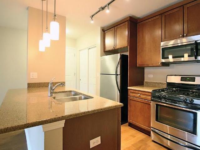 1 Br, 1 bath, Condo 209 E Cullerton St