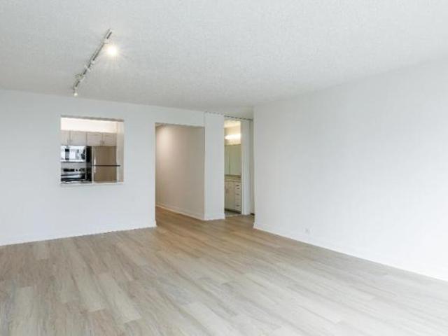 1 Br, 1 bath, Condo 211 E Wacker Dr