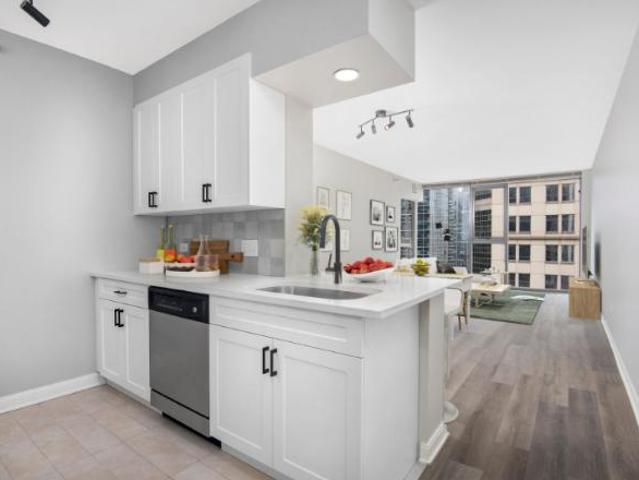 1 Br, 1 bath, Condo 216 N Wells St
