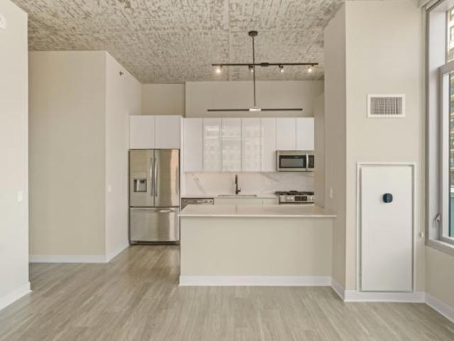 1 Br, 1 bath, Condo 226 W Chicago Ave