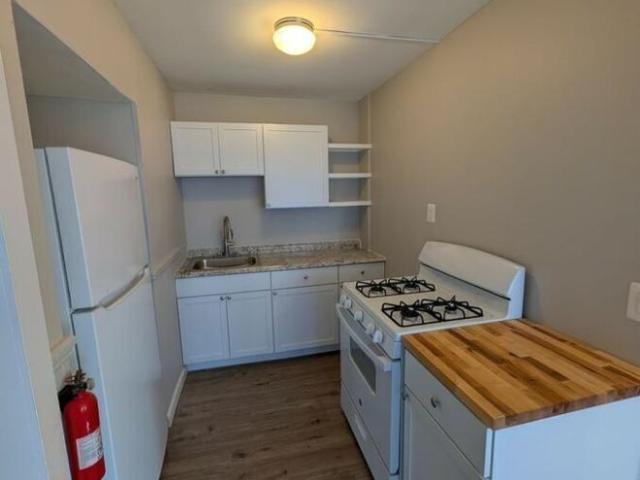 1 Br, 1 bath, Condo 227 Amory St
