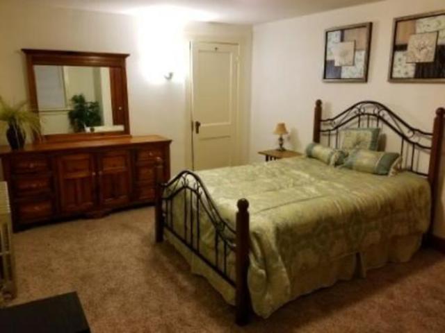 1 Br, 1 bath, Condo 233 Ann St