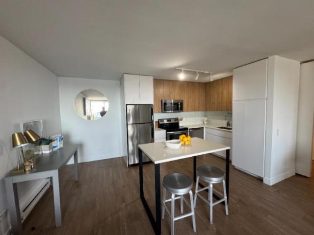 1 Br, 1 bath, Condo 2619 N Clark St