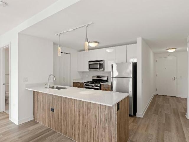 1 Br, 1 bath, Condo 298 W Wolf Point Plaza