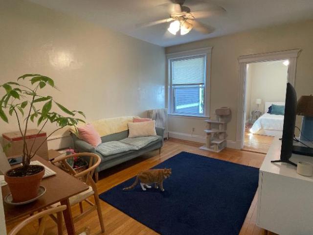 1 Br, 1 bath, Condo 30 Littell Rd