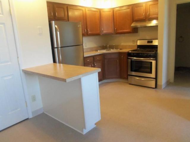 1 Br, 1 bath, Condo 311 E South St