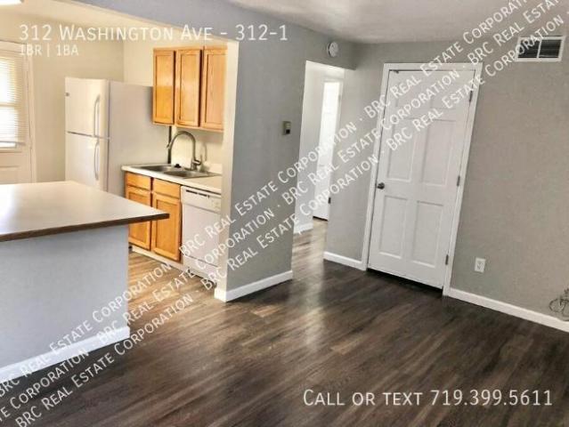 1 Br, 1 bath, Condo 312 Washington Ave