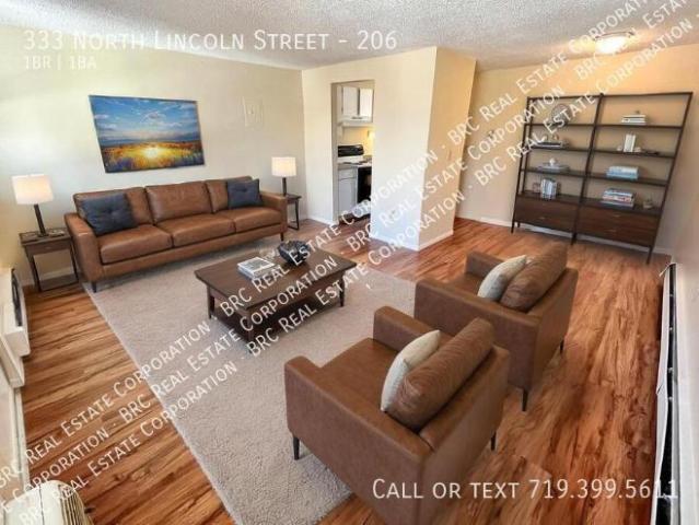 1 Br, 1 bath, Condo 333 North Lincoln Street