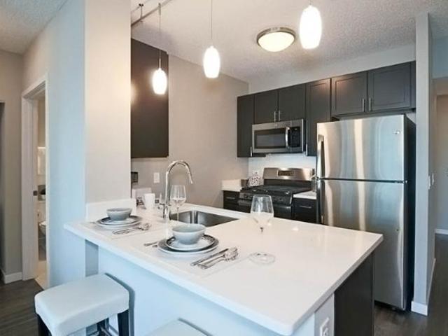 1 Br, 1 bath, Condo 340 E Ohio St