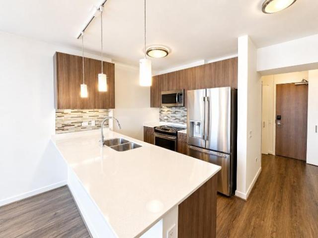 1 Br, 1 bath, Condo 354 W Hubbard