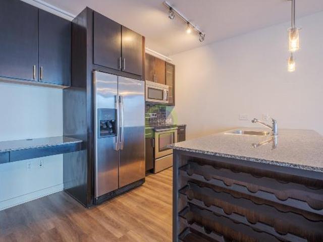 1 Br, 1 bath, Condo 355 N Wells St