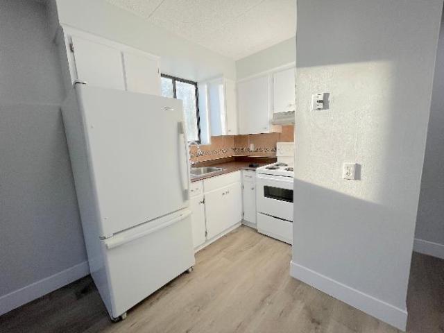 1 Br, 1 bath, Condo 360 Tecumseh Rd W