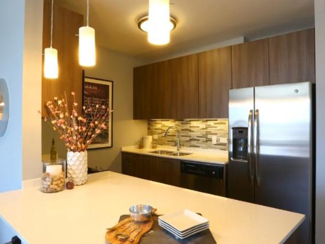 1 Br, 1 bath, Condo 369 W Hubbard St