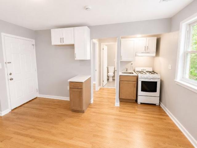 1 Br, 1 bath, Condo 377 Clinton Pl
