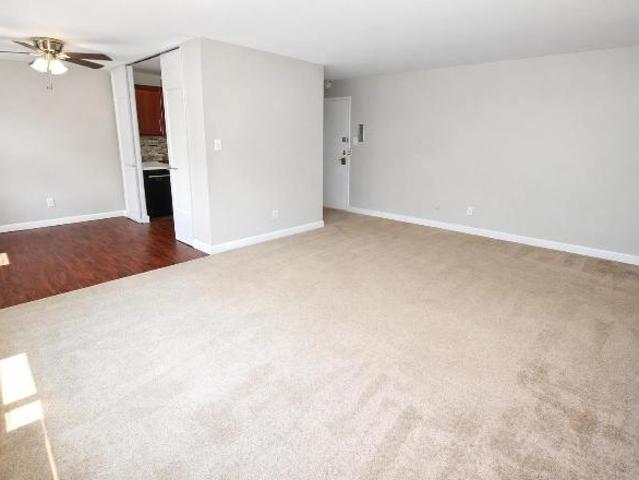 1 Br, 1 bath, Apartment 513 North Neville Street