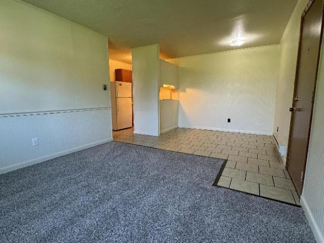 1 Br, 1 bath, Other 1007 E Park St