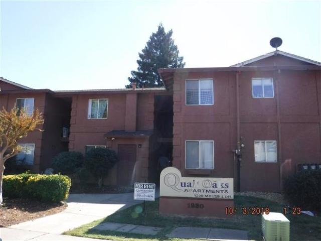 1 Br, 1 bath, Apartment 1230 Melton Drive