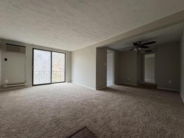 1 Br, 1 bath, Apartment 1345 Walnut Street