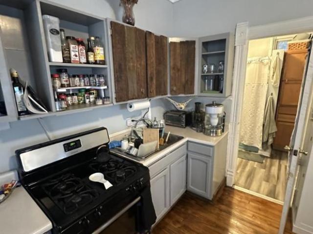 1 Br, 1 bath, Other 1920 West Cermak Road
