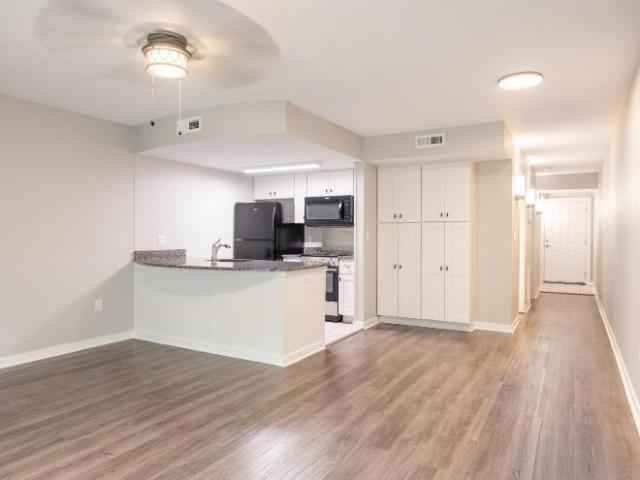 1 Br, 1 bath, Apartment 211 Coastal Point Dr