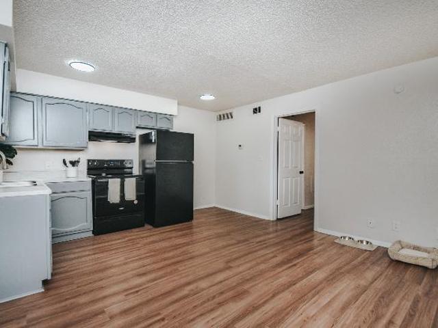 1 Br, 1 bath, Apartment 305 E Brazos St