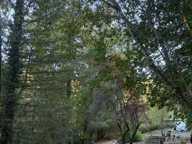 1 Br, 1 bath, Single Family 12000 Hwy 116