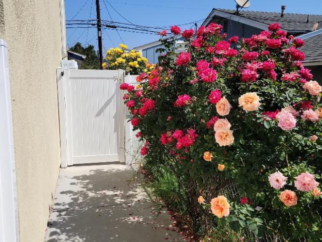 1 Br, 1 bath, Single Family 22235 Burton St