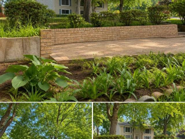 1 Br, 1 bath, Single Family 4098 Camelot Ct