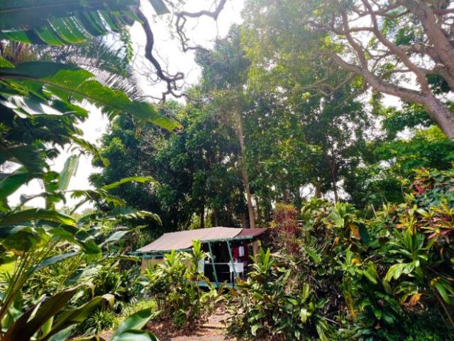 1 Br, 1 bath, Single Family 81 6467 Mamalahoa Hwy