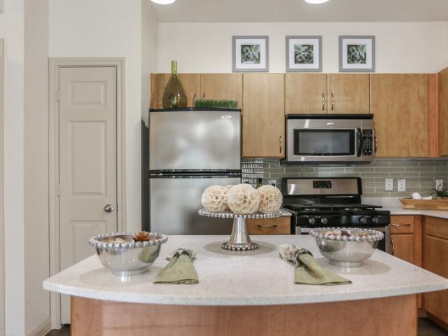 1 BR, 1 BA Apartment Metric/Running Bird, Austin, TX 78758