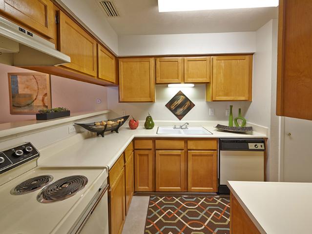 1 BR, 1 BA Apartment 14041 Preston Road Unit 1 1612, Dallas, TX 75254
