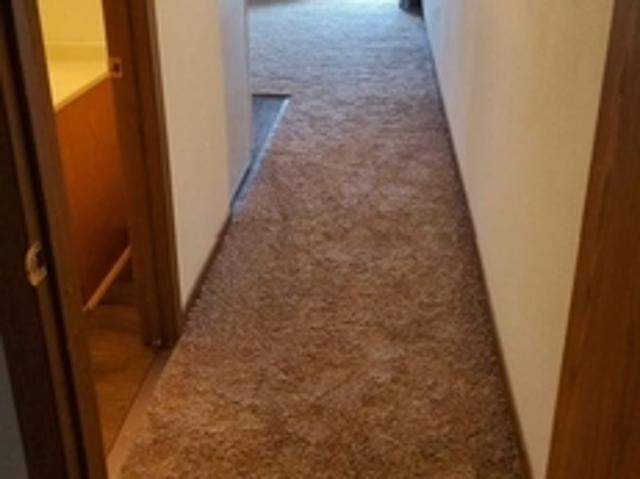 1 BR, 1 BA Apartment 1422 Irish Drive Apt 4, Waterloo, IA 50701