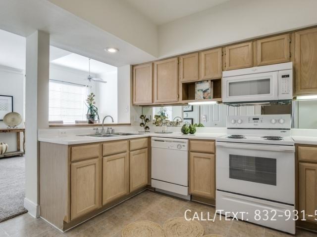 1 BR, 1 BA Apartment 1424 Gemini St, Houston, TX 77058