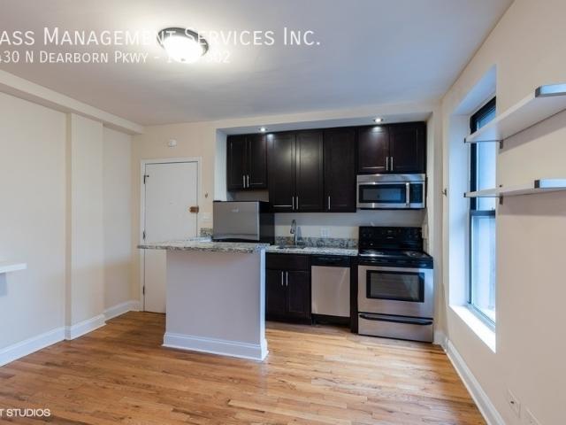 1 BR, 1 BA Apartment 1430 N Dearborn Pkwy, Chicago, IL 60610