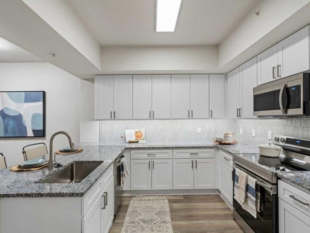1 BR, 1 BA Apartment 14600 Avenue of the Groves Unit 05306, Winter Garden, FL 34787