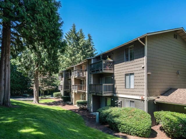 1 BR, 1 BA Apartment 14629 Northeast 37th Place Unit 13, Bellevue, WA 98007