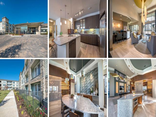 1 BR, 1 BA Apartment 14698 Briar Forest Dr, Briarforest, TX 77077